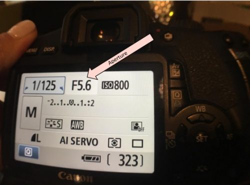 You CAN Learn to Use a Camera in Manual Mode: by Jen Oliak