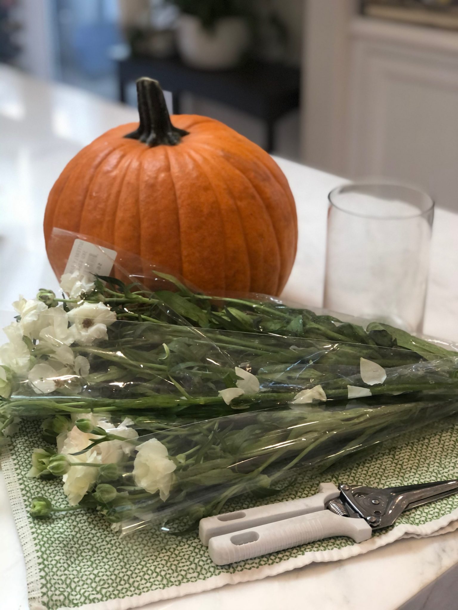 Home Tips to Feel Like October - Ounce of Salt